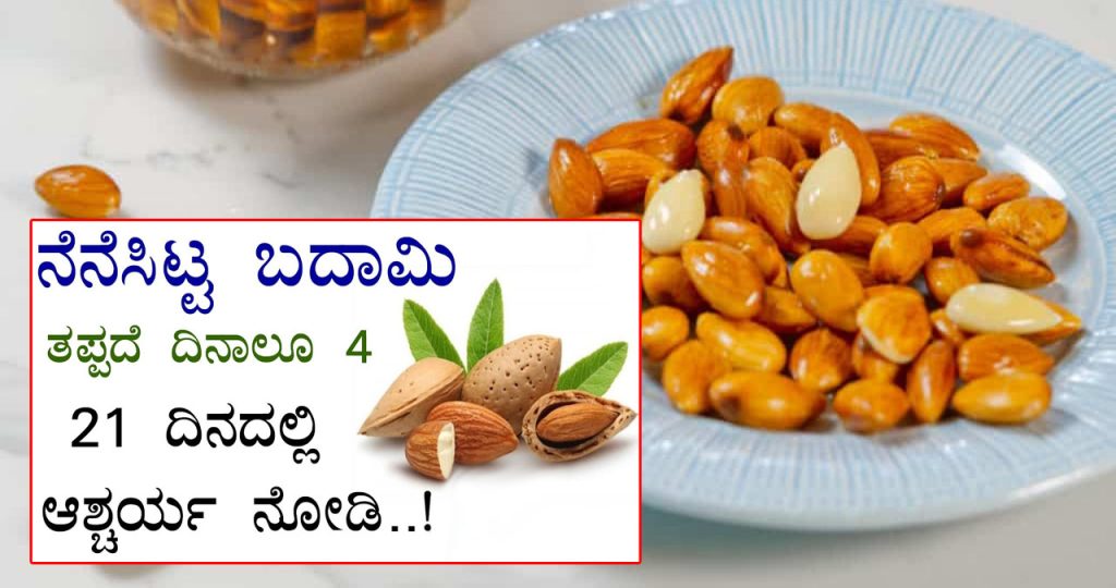 ಪ್ರತಿದಿನ 4 ಬಾದಾಮಿಬೀಜ ತಿನ್ನುವುದರಿಂದ ಏನಾಗುತ್ತೆ ಗೊತ್ತಾ, ನಿಮಗಿದು ಗೊತ್ತಿರಲಿ ...
